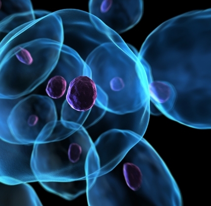 Neurotechnology for Brain Injury Fact Sheet | BrainLine