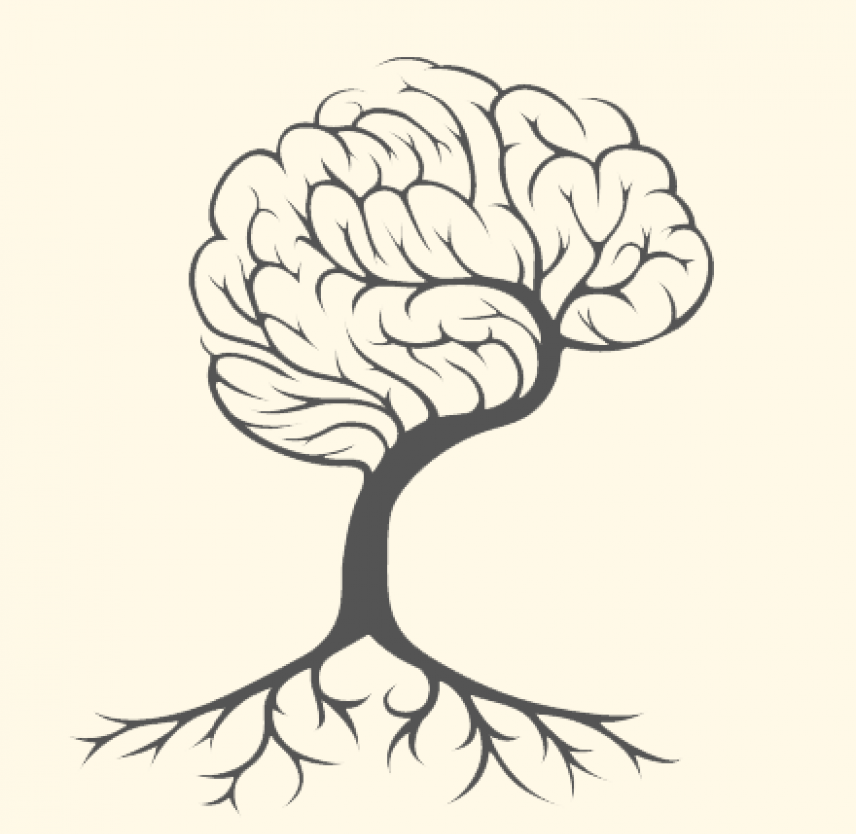 Turn Post-traumatic Stress Into Post-traumatic Growth | BrainLine