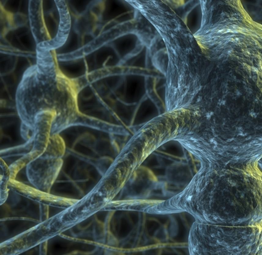 Types of Traumatic Brain Injury | BrainLine