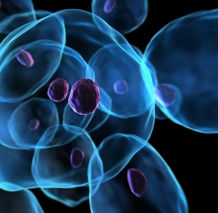 Neurotechnology for Brain Injury Fact Sheet | BrainLine