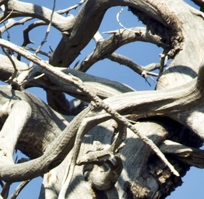 The Stress Continuum | BrainLine