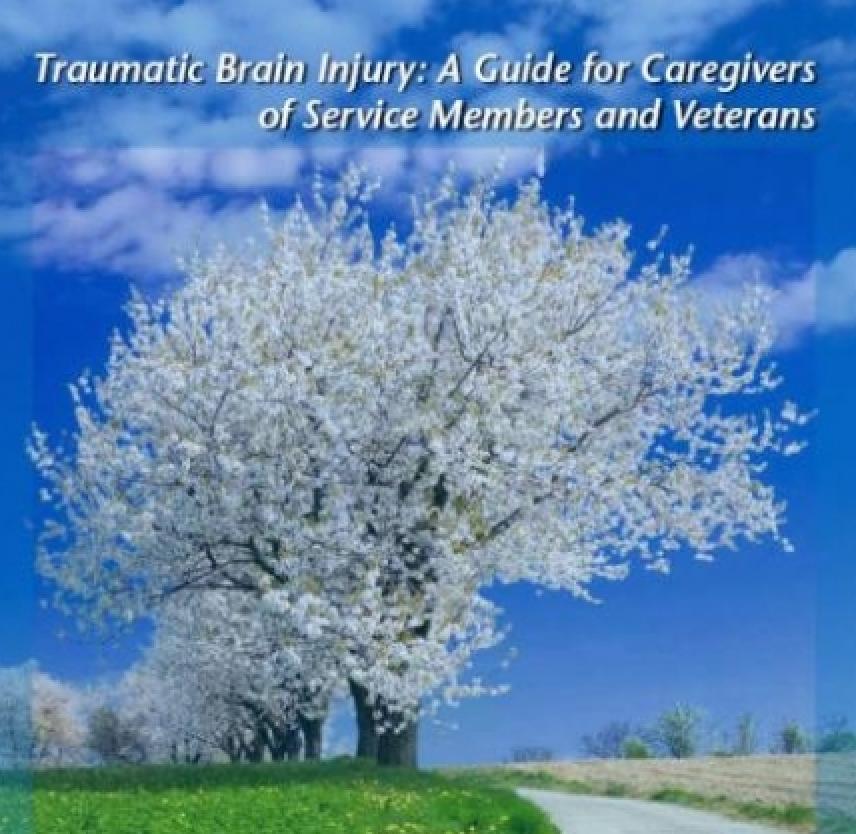 Traumatic Brain Injury: A Guide for Caregivers of Service Members and Veterans | BrainLine