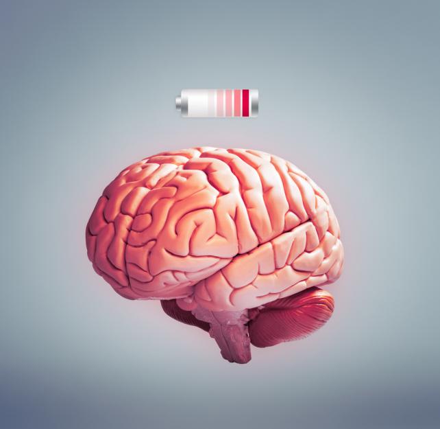 Healing From Trauma | BrainLine