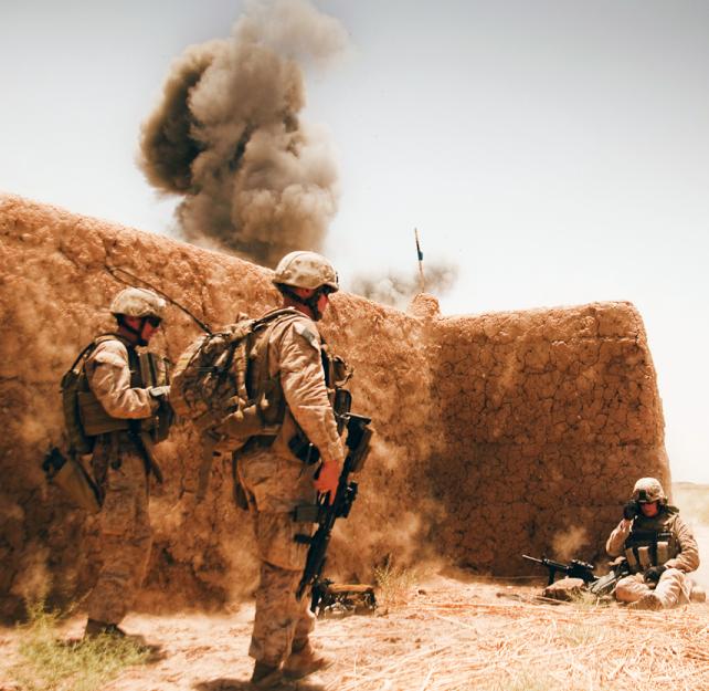 Expert Q&A | BrainLine