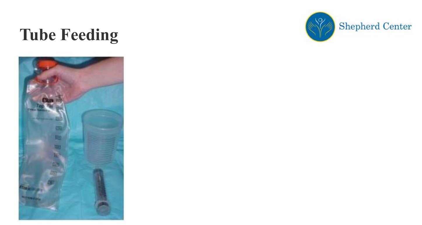 Nutrition / Eating | BrainLine